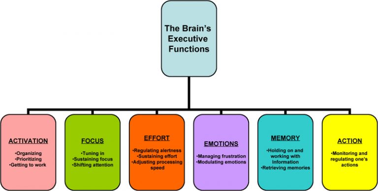 How To Focus With ADHD - The Truth About Fixing Your ADHD Brain